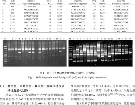 The List Of Polymorphic Primers Download Table