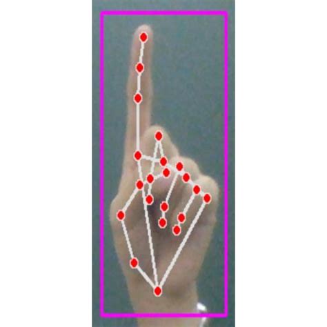 Hand Line Gesture Object Detection Model By Wayahetampil