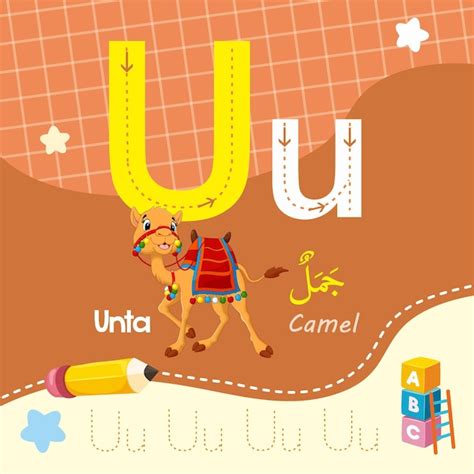 낙타 그림과 문자 U가 있는 알파벳 포스터 프리미엄 벡터