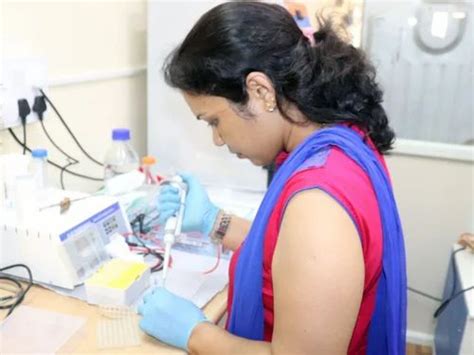 Sanger Sequencing And Microbial Identification Services At ₹ 3000