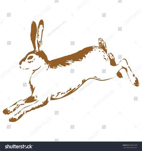 Running Hare Vector Illustration Stock Vector Royalty Free 480423799 Shutterstock