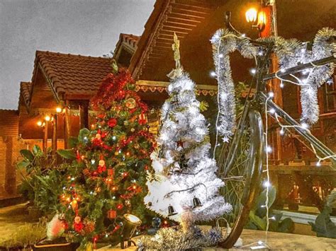 ตลาดแคมของ ถนนคนเดินริมโขงหนองคาย จำหน่ายบัตรคอนเสิร์ต อัสนี วสันต์ คนหัวใจสิงห์ บัตรราคา