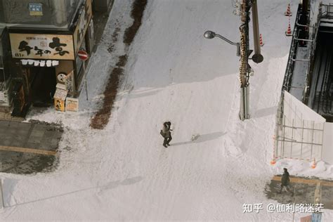 谁动了我的代码Long精度丢失 知乎