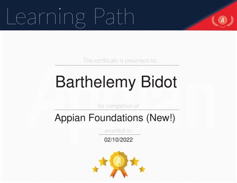 Barthelemy Bidot On Linkedin Appian Is A Low Code Platform Solution That Enables Quick And