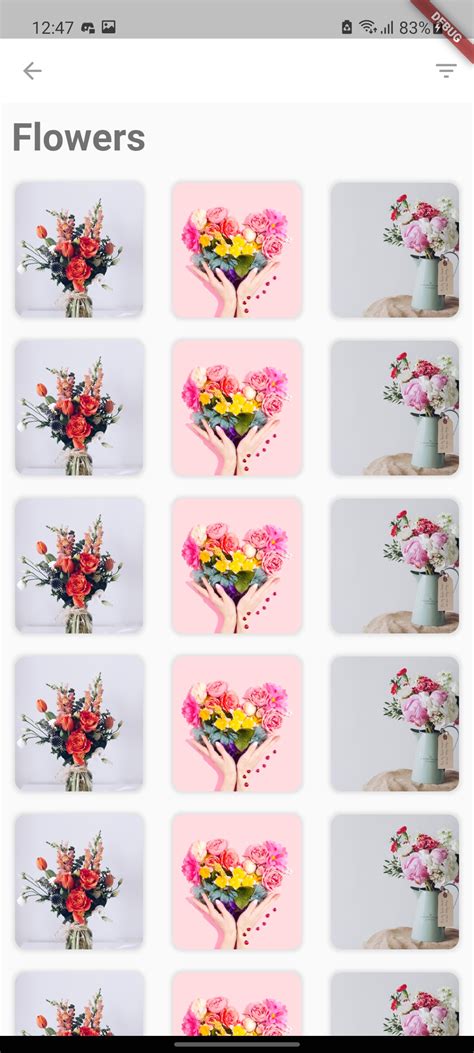 GitHub HussamFikri Project Design Using Flutter