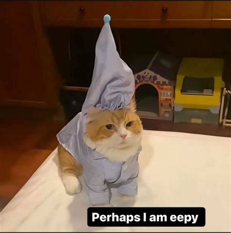 Perhaps Album On Imgur