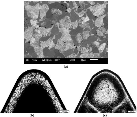 A Microstructure Of Aisi 1045 Steel Microscopic Image Of B Normal Download Scientific