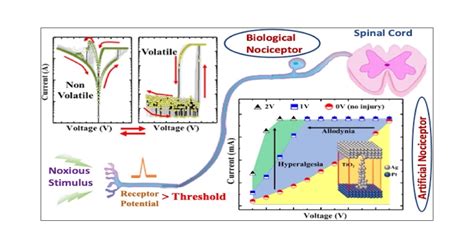 Reconfigurable Low Power Tio2 Memristor For Integration Of Artificial