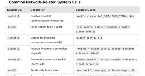 System Calls In Network Programming System Calls In Network Programming