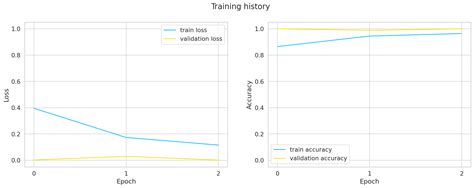 Transfer Learning For Image Classification Using Torchvision Pytorch And Python Curiousily