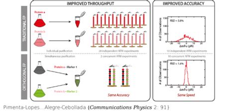 Concurrent Atomic Force Spectroscopy Biofísica