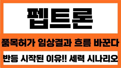 펩트론 주가전망 품목허가 임상결과 흐름 바꾼다 반등 시작된 이유 세력 시나리오는 이거다펩트론전망 Youtube
