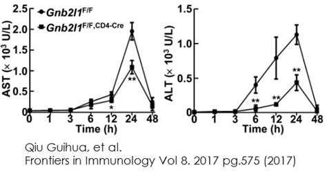 Alkaline Phosphatase检测试剂盒 Colorimetric Ab83369 Abcam中文官网