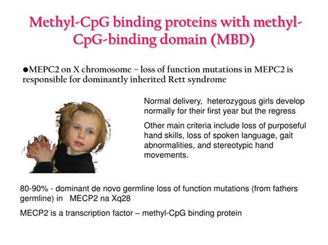 Ppt Human Gene Expression And Genomic Imprinting Powerpoint