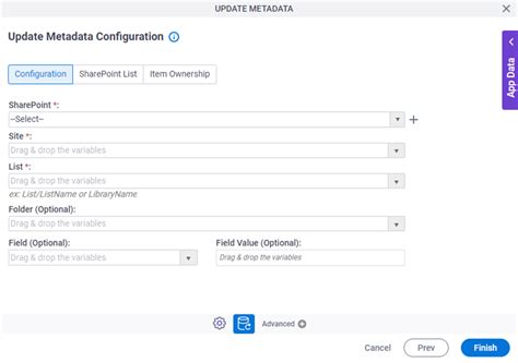 Update Metadata Activity