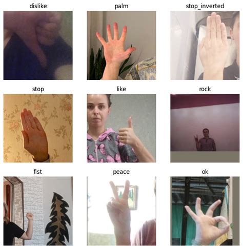 fine tuning image classifiers with fastai and the timm library for