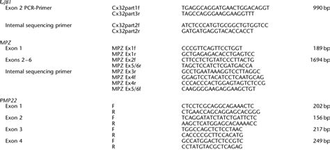 Newly Designed Primer Sequences For Amplification And Sequencing Of Download Table