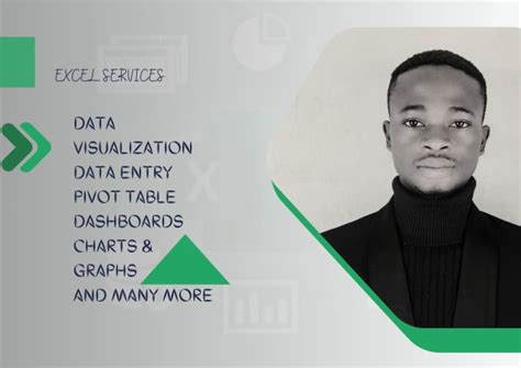 provide dynamic dashboard charts and anything excel by angelgabzy fiverr
