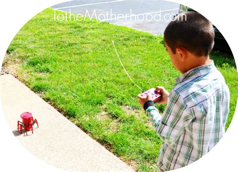 The Hexbug Spider Xl Is Large And In Charge To The Motherhood Travel Lifestyle Blog