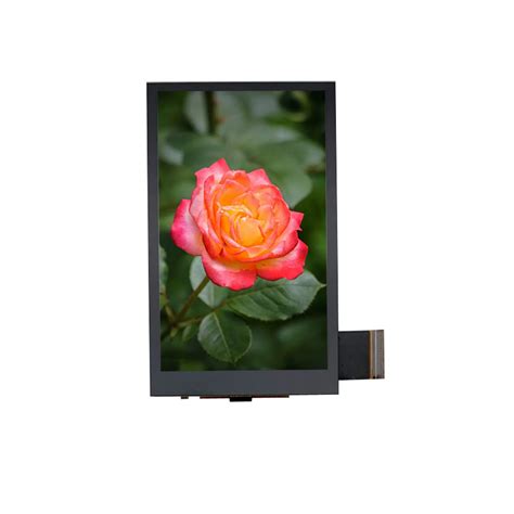 Customized Small TFT LCD Display Inch IPS LCD Screen RGB Bit Interface