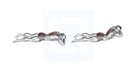 Kneeling Hip Thrust Guide Benefits And Form In 2025 Hip Thrust