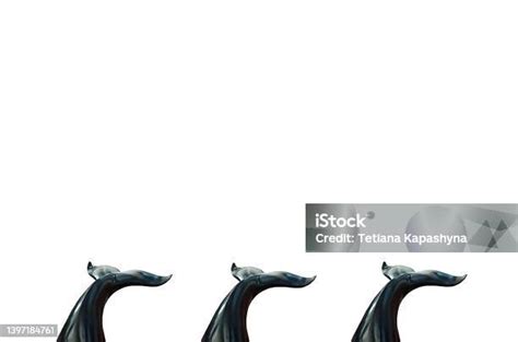 인공 검은 색 플라스틱 반짝이는 물고기 꼬리가 흰색 배경의 바닥에 있습니다 0명에 대한 스톡 사진 및 기타 이미지 0명 검은색 꼬리지느러미 Istock