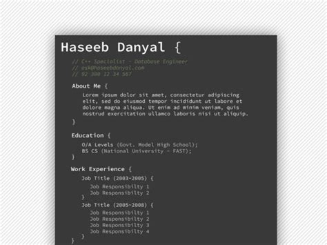 Free Resume Template For Progammer And Developer