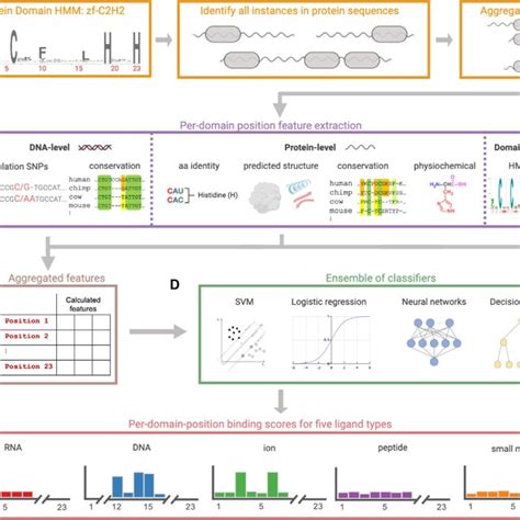 comparative performance for predicting dna and peptide binding