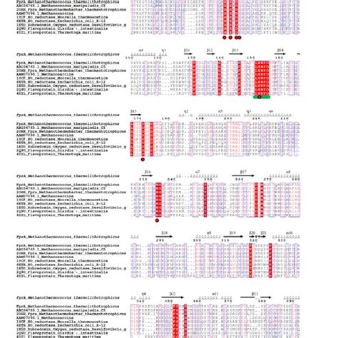 Figure S1 Sequence Alignment Of Fpra Homologues With Secondary