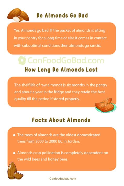 Can Almonds Go Bad And Make You Sick How Long Does It Take For An