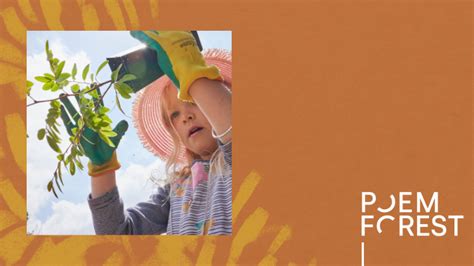 Poem Forest New Australian Poetry Contemporary Australian Writers Poetry Education Red