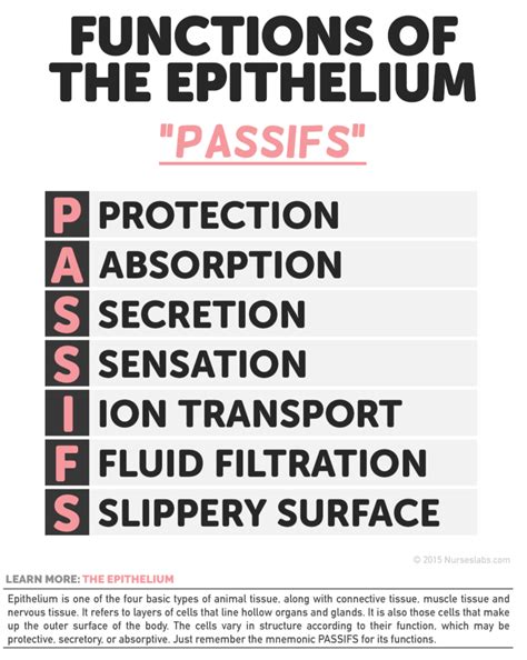Medical Physiology Mnemonics Tickle Your Funny Bone And Brain