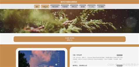 Springboot毕设 数字乡村基础治理系统 程序论文 Csdn博客