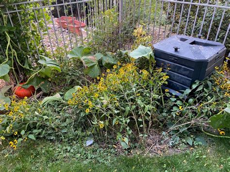 The Push For Local Composting Programs In The Us