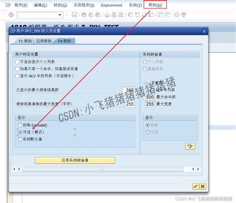Sap搜索帮助内部错误：表格格式 Sap内部错误表格格式 Csdn博客