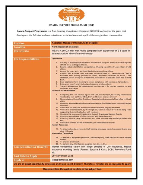 Assistant Manager Internal Audit North Damen Support Programme دامن سپورٹ پروگرام