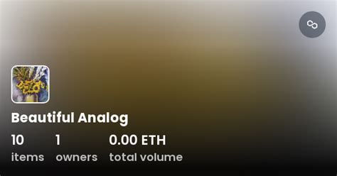 Beautiful Analog Collection Opensea