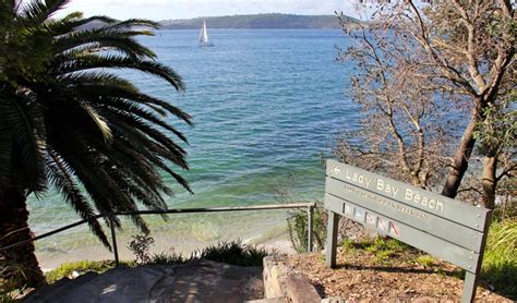 Lady Bay Beach Nsw National Parks