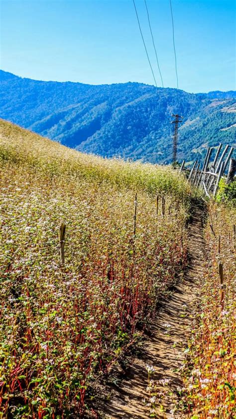 Dirang Travel Guide 2025 — Best Time Ilp Top Attractions And Faqs