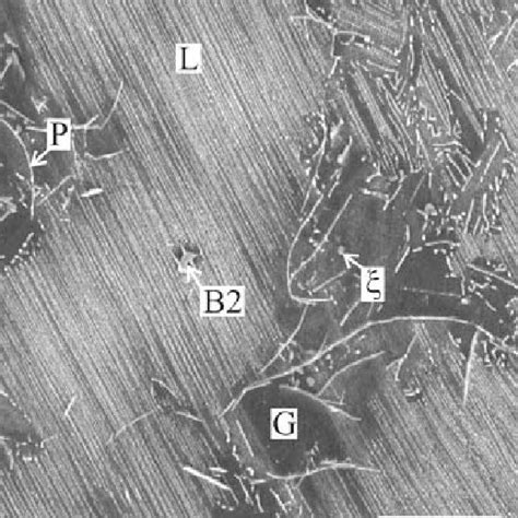 Sem Micrograph Showing The Typical Microstructures In The Gauge Region Download Scientific