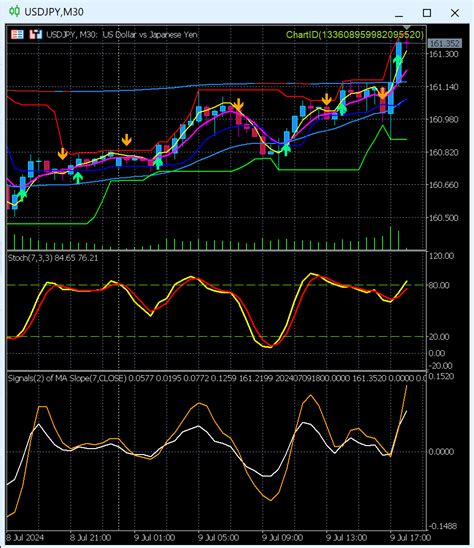 Any Ideas Why My Custom Indicators Are Blank When I Start The Terminal In The Morning