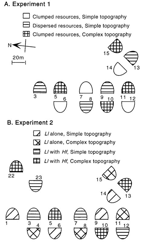 Treatments For Each Experiment Were Systematically Assigned To Balance