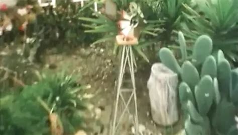 Connie Peterson Porn Videos 2024 Porn Star Sex Scenes Xhamster