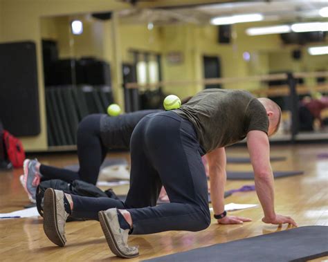 Quadruped Exercise Progression