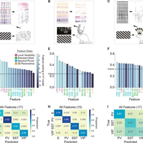 Experimental Overview And Separability Of Cell Types With 17 Statistics