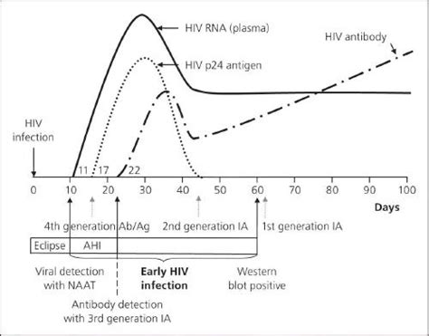 How Does The Hiv Test Work Melbourne Rapid Hiv Testing