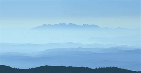 Saron Wilt On Linkedin I Love This Quote