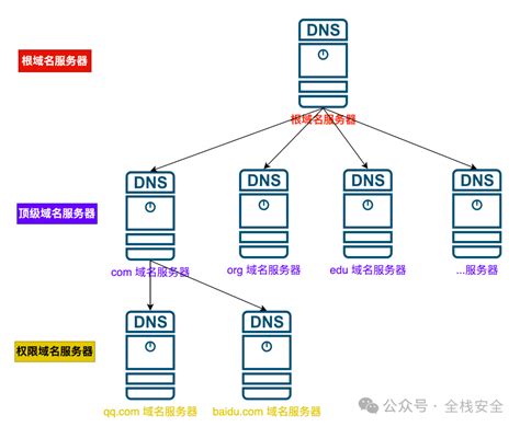 一文彻底了解dns协议工作原理，恐怕没有比这更通俗易懂的了吧？零基础入门到精通，收藏这一篇就够了dns工作原理 Csdn博客