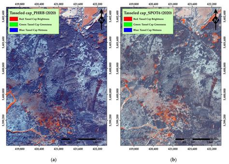 Figure A22 Example Of The Tasseled Cap Transformation Algorithm On A Download Scientific