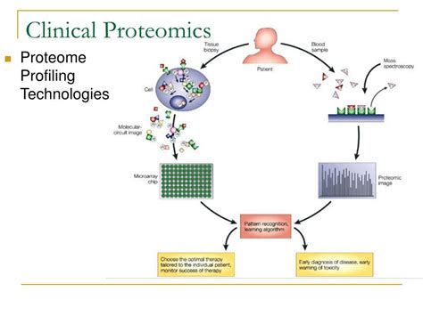Ppt Proteomics Powerpoint Presentation Free Download Id 1281661